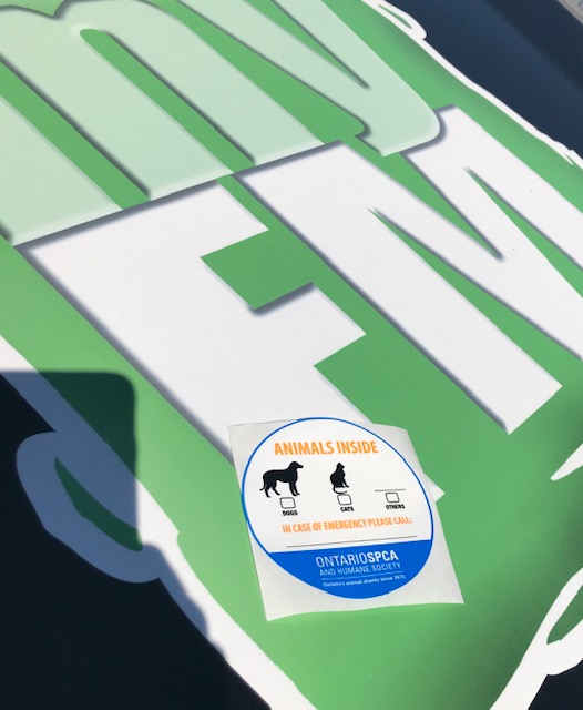 OSPCA and Petawawa Fire Department partner team up for Emergency Preparedness Week | 104.9 ...